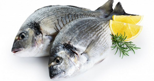 Dorade Royal fresh with delivery in The Hague and Leiden. We are ...